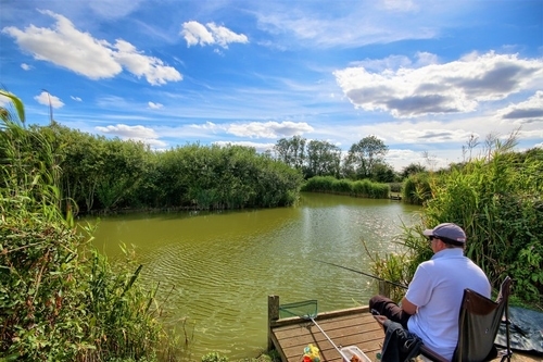 Fishing Lakes - for Fitness & Sport | Willow Lakes, Bodham